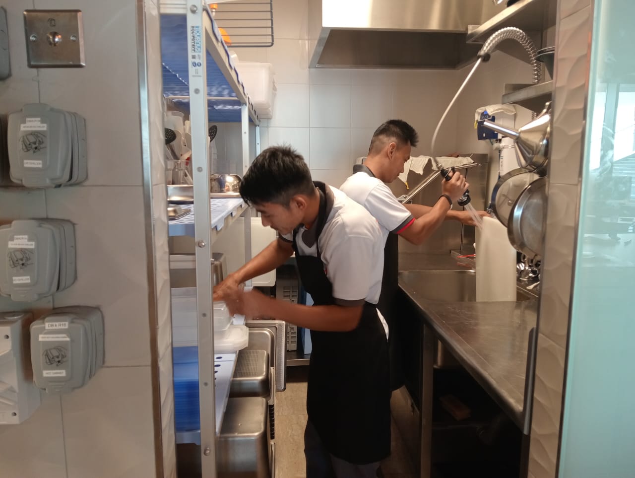 Best Kitchen Steward Supplier Dubai 2025 | Hygienic Kitchen Manpower